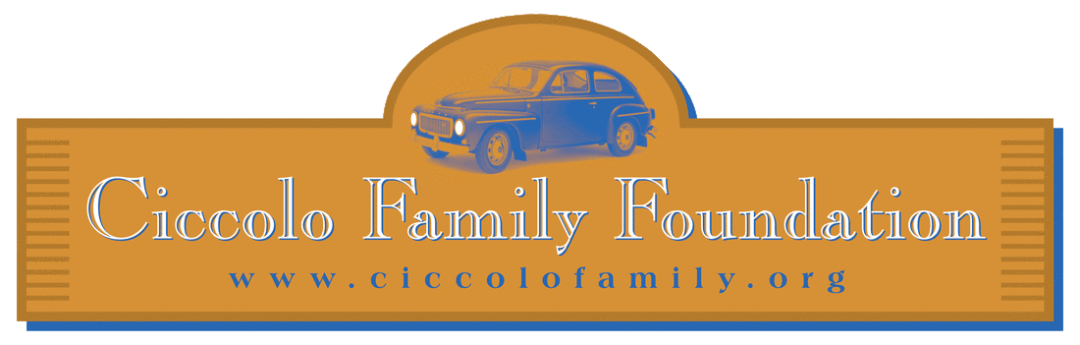 About Us | Village Automotive Group